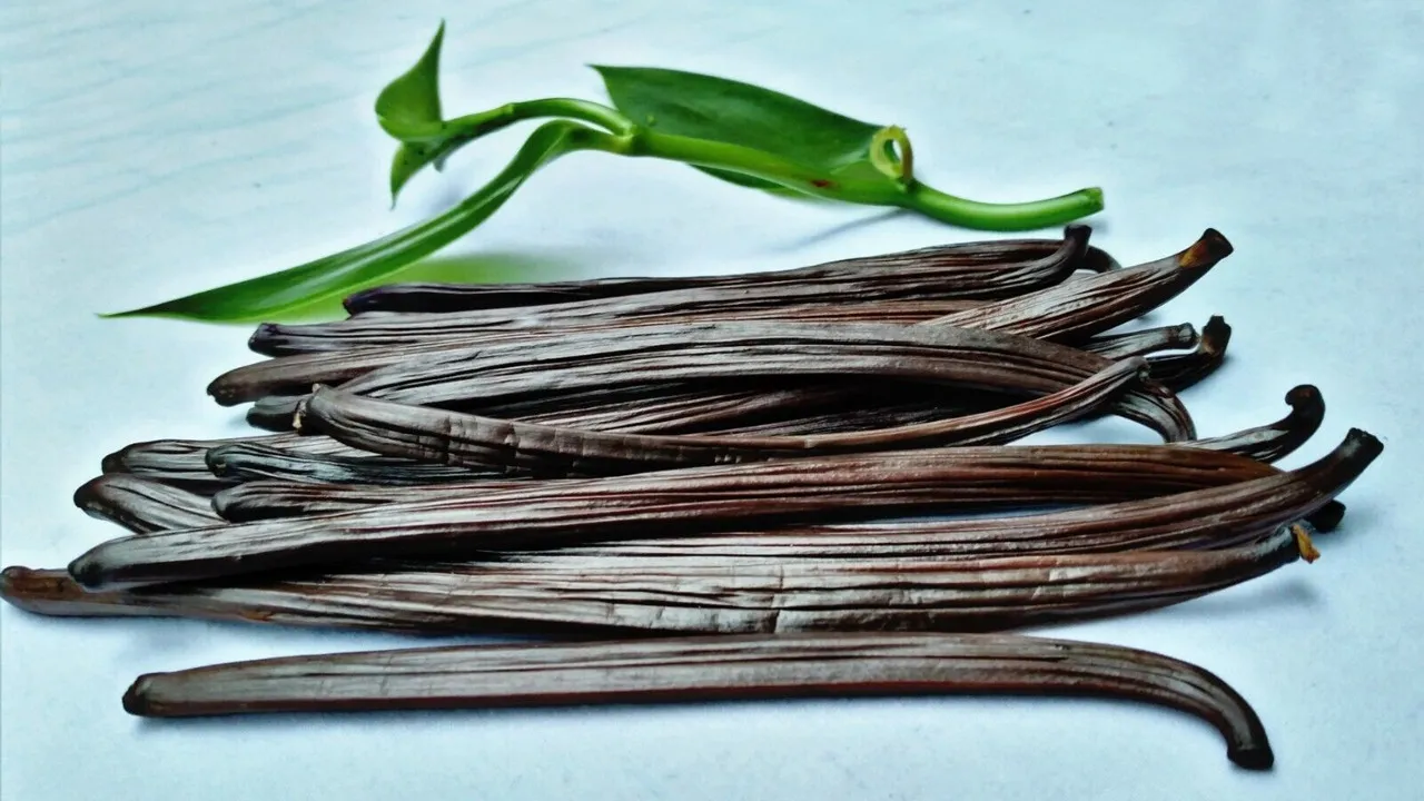 Creative Uses of Organic Vanilla Beans | Sharp Coder Blog